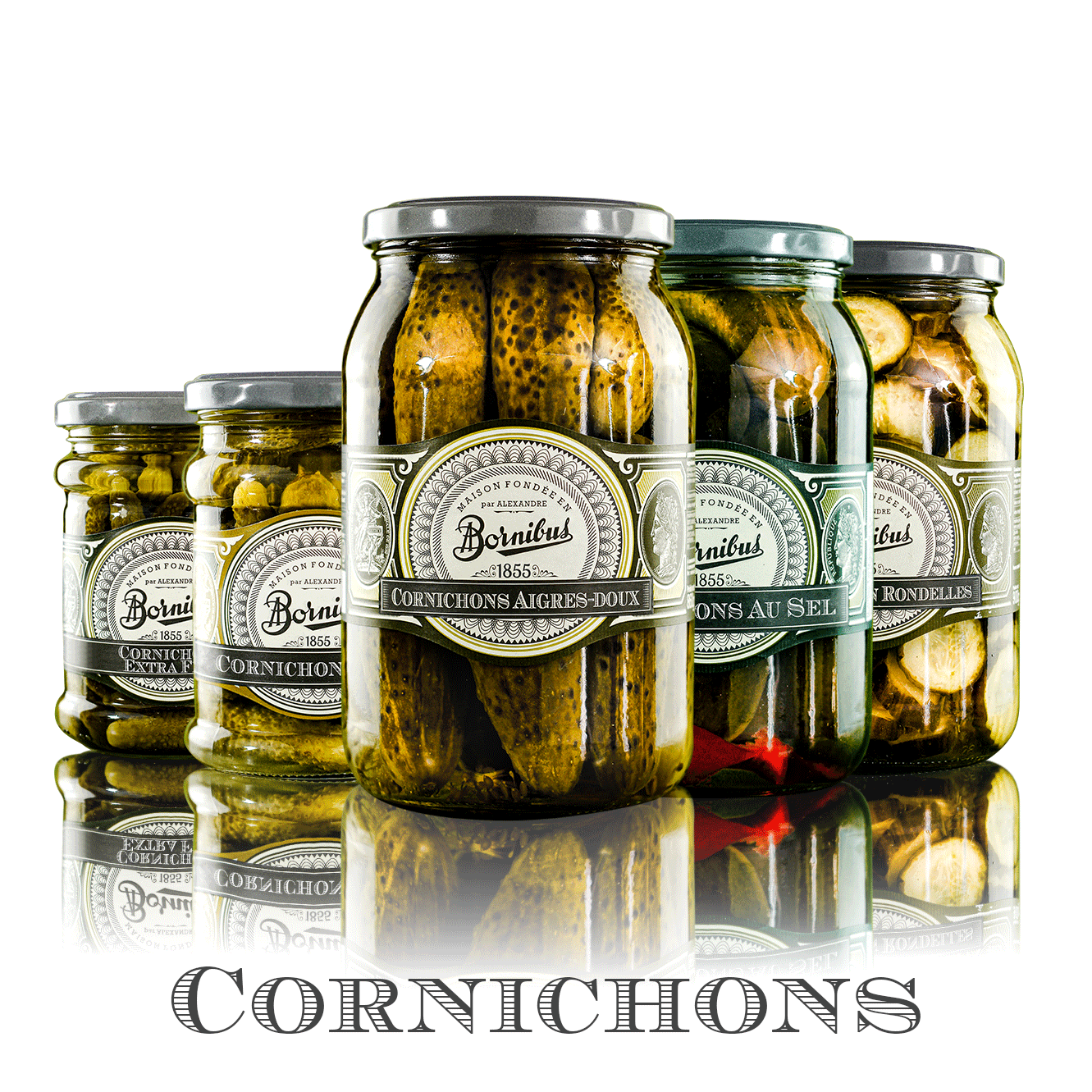 La gamme – Bornibus, ou l'histoire du goût.